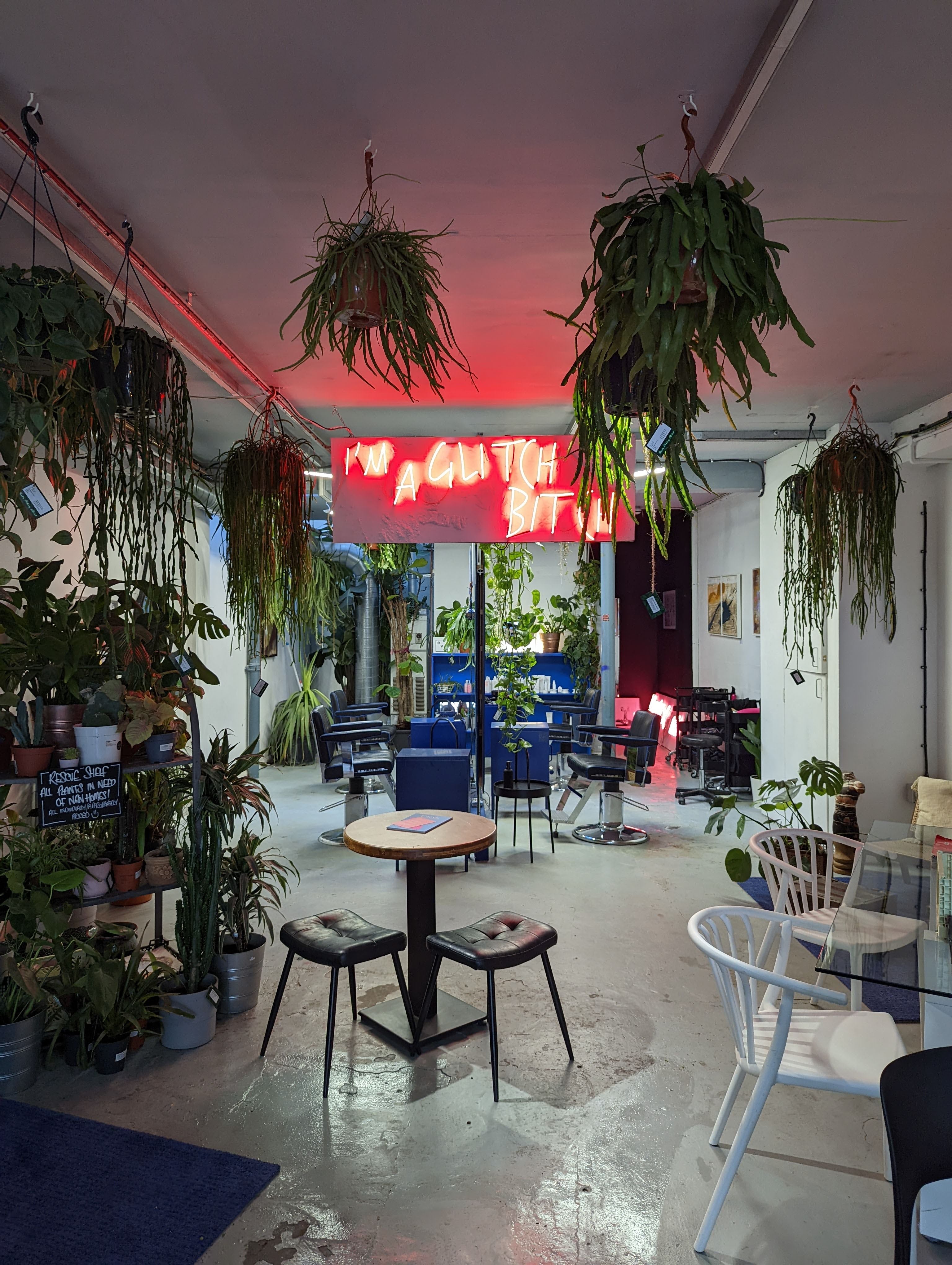 Plant The Studio